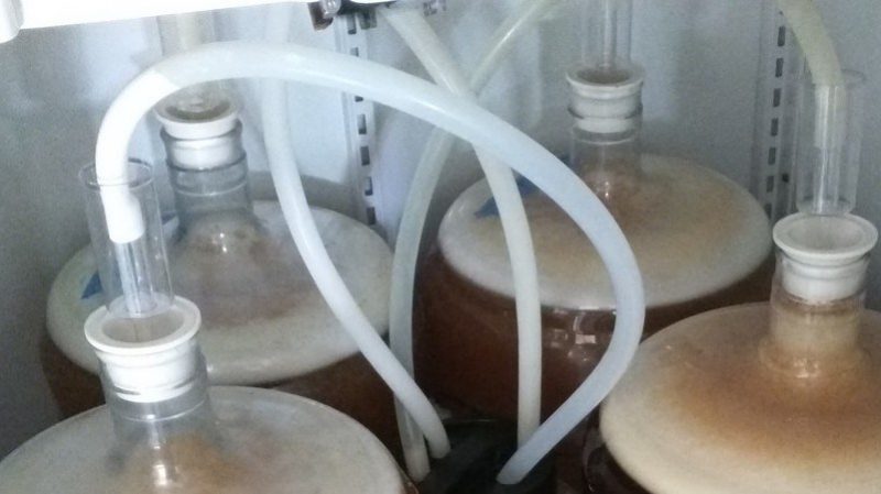 The Impact of Storage Temperature on Beer - American Homebrewers ...